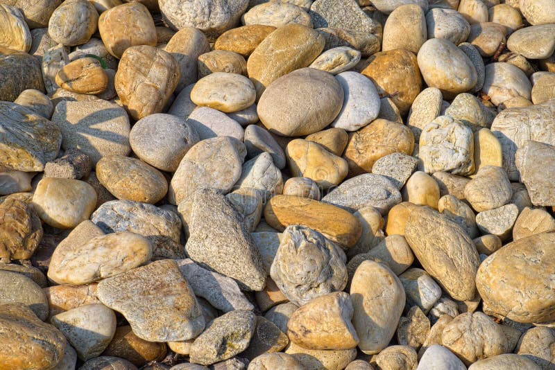 Dry Pebbles at Morning Light Stock Image - Image of coast, pebbles ...