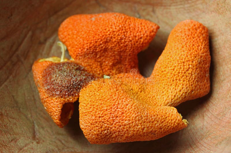 Dry Peel of a Mandarin Torn into Sections Stock Photo - Image of peel ...
