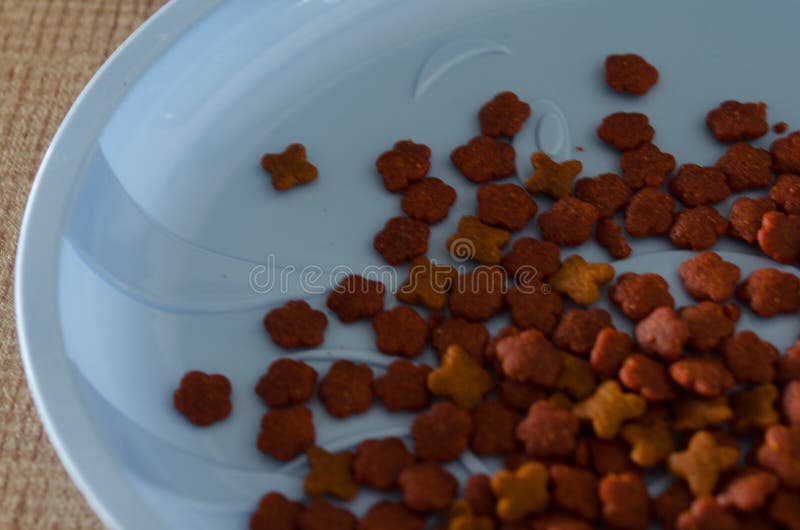 Dry pellet cat food stock photo. Image of bowl, dish - 101613860