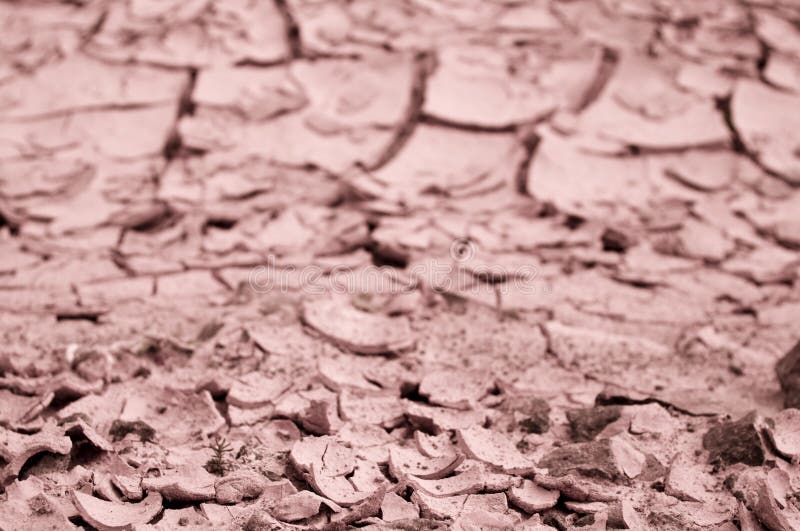 Dry period stock photo. Image of colored, clay, endemic - 52564492