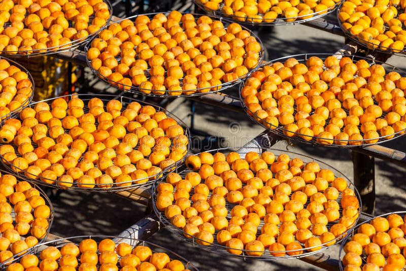 Dry Persimmon Fruit Production Under Sunshine Stock Photo - Image of ...