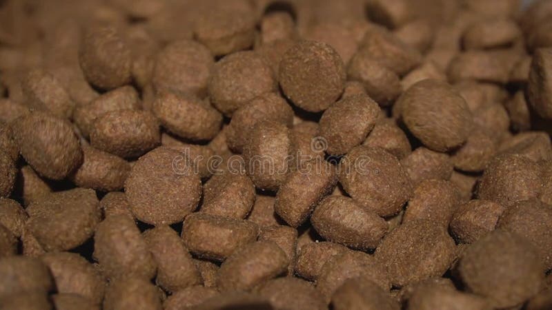 Pet Food. Dog Food Falling into Storage Box Stock Footage - Video of ...