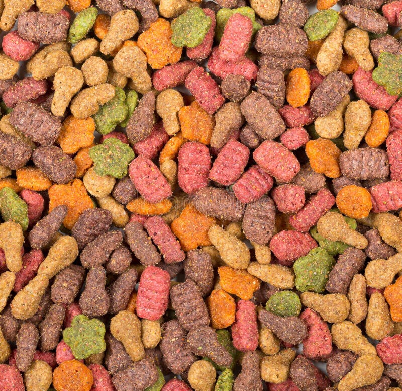Dry pet food frame filling stock image. Image of nutrition - 107724591