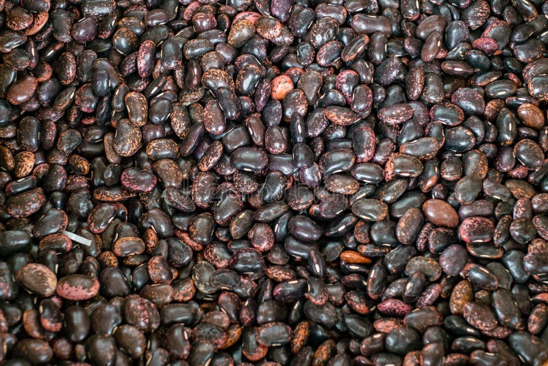 Dry Phaseolus Kidney Bean Texture Stock Photo - Image of pile, closeup ...