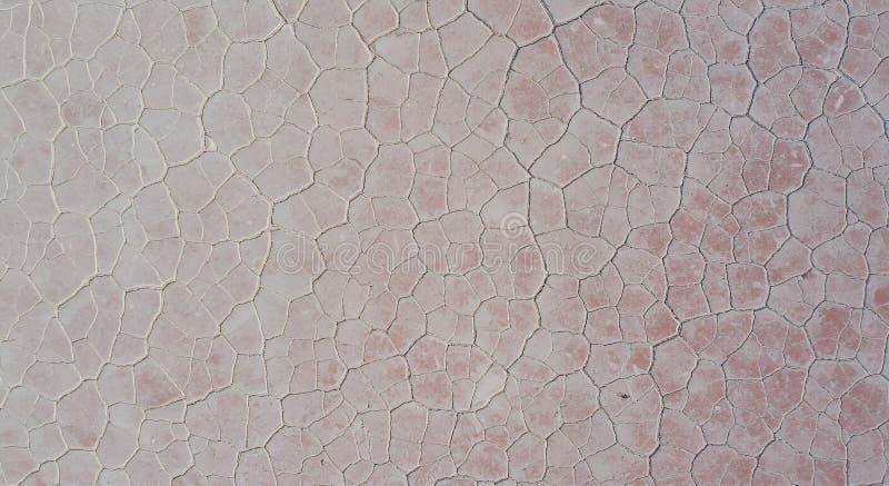 Cracked Earth Texture Background with Dry Pink Soil Surface Stock ...