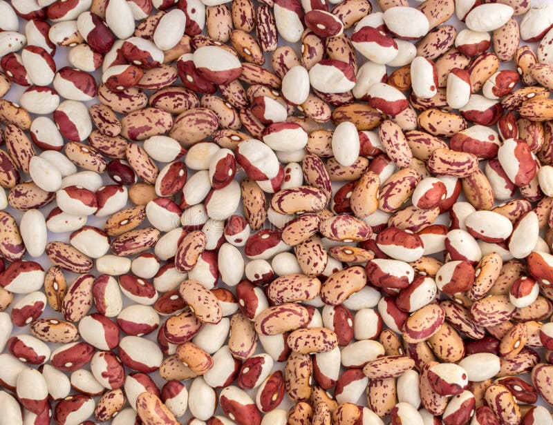 Dry Pinto Beans Mix Backgrpund Stock Image - Image of seed, vegan: 89753173