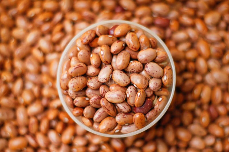 Dry Pinto Beans in a Plastic Bowl Stock Photo - Image of nutrition ...