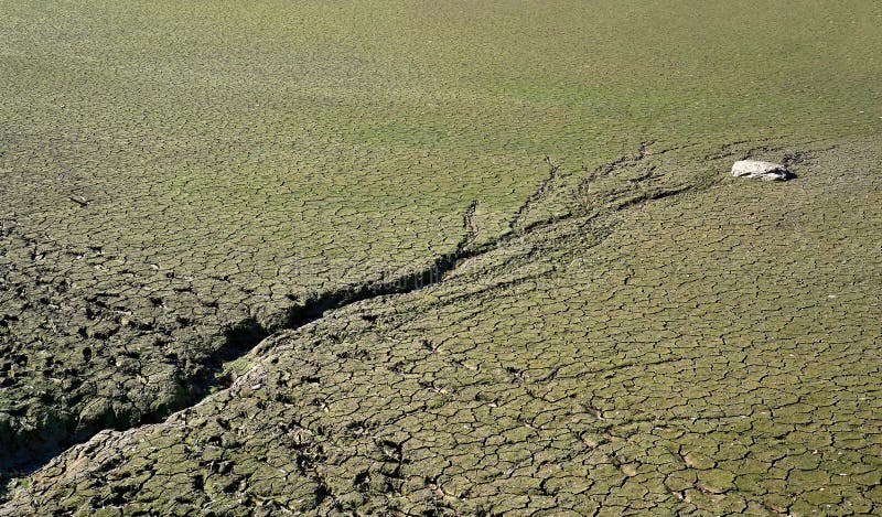 A dry pond stock photo. Image of environment, drought - 134834652