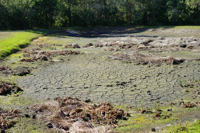 Dried pond in Florida stock image. Image of beauty, drought - 85028099