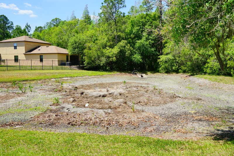 Dry pond in Florida stock image. Image of drought, damage - 93588951