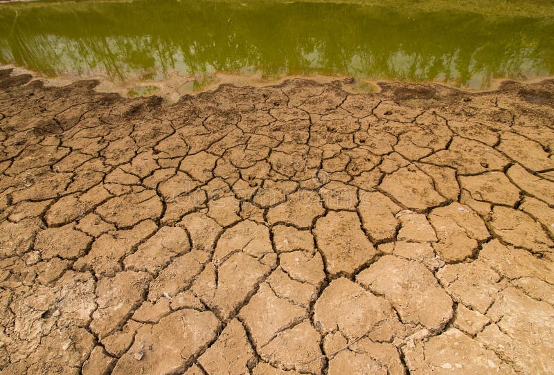 Dry pond stock photo. Image of natural, ground, heat - 68770932