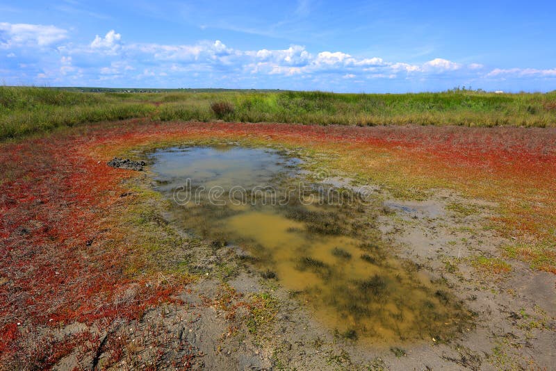 Dry pond in steppe stock photo. Image of outdoor, flowing - 96778608
