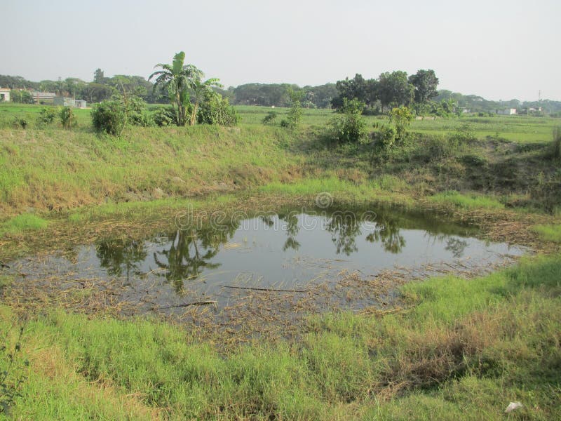 Dry pond stock image. Image of natural, modern, concept - 42225909