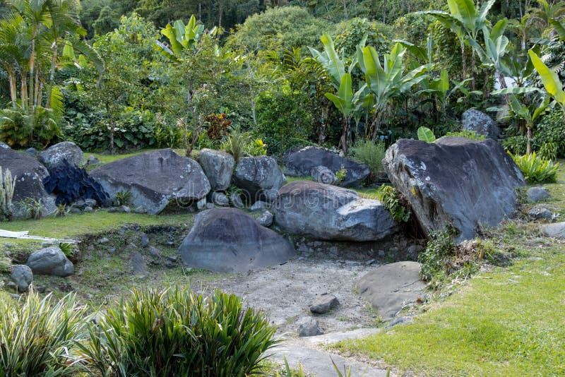 Dry Pool of Natural Rock Surrounded by Nature Stock Photo - Image of ...