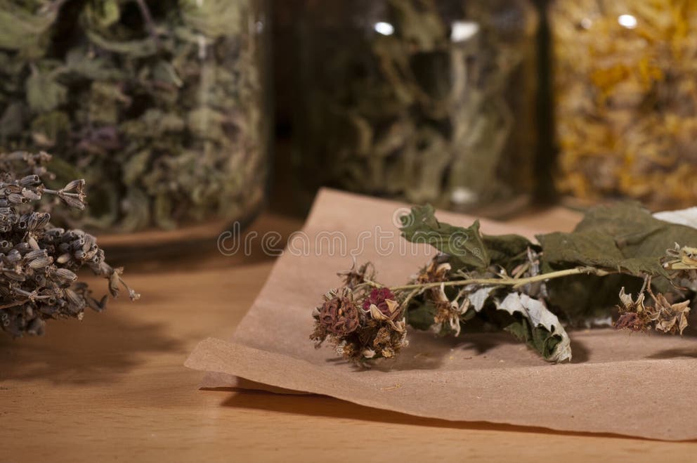 Dry raspberry leaves stock photo. Image of liquid, medicine - 39962328