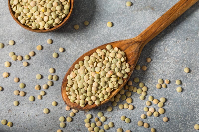 Dry Raw Organic Green Lentils Stock Photo - Image of healthy ...