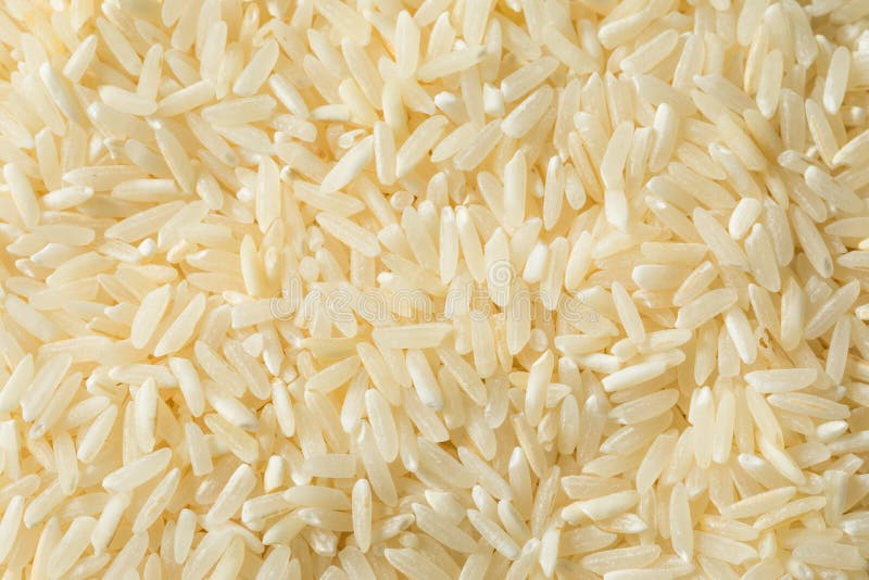 Dry Raw Organic White Rice stock photo. Image of background - 140736414