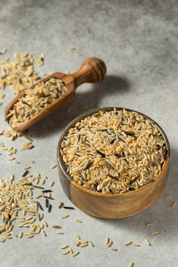 Dry Raw Organic Wild Rice stock image. Image of bowl - 310952119