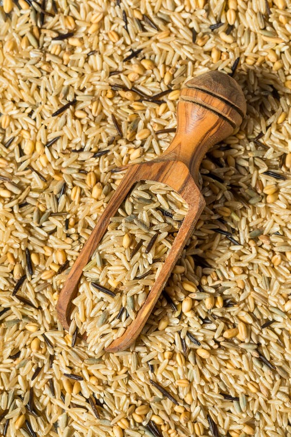 Organic Wild Honeycomb Held in Hand on Natural Light with a View of Its ...