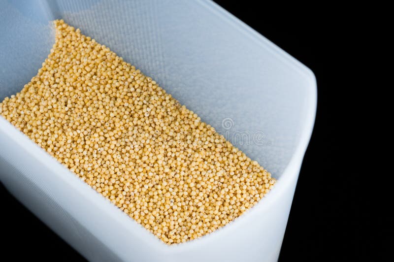 Dry and Raw Yellow Millet Groats in an Airtight Plastic Storage ...
