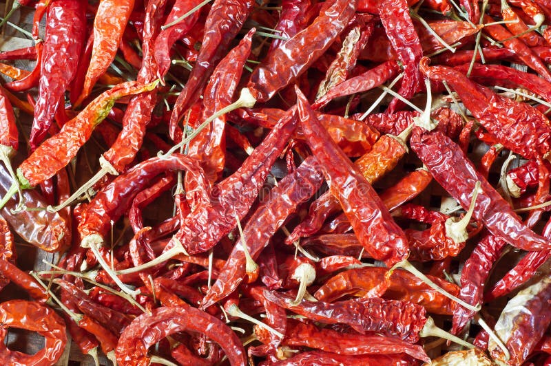 Dry red chilli. stock image. Image of asian, chili, agriculture - 24621007