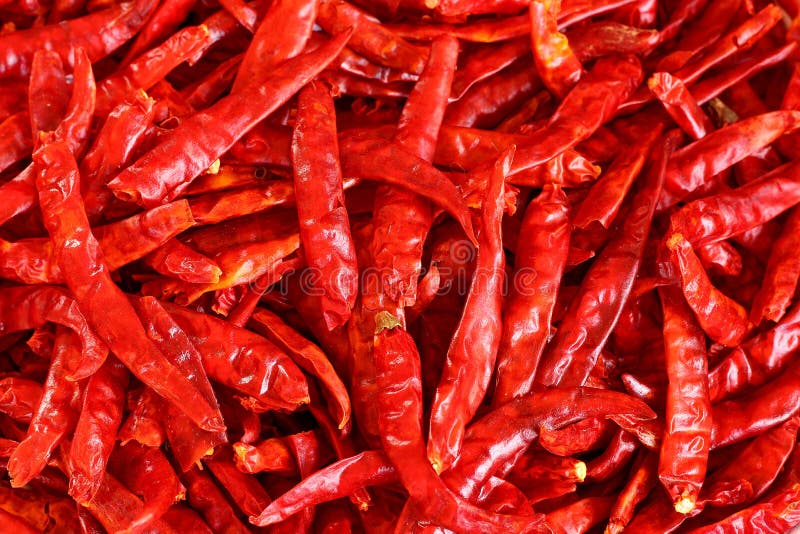 Dry red chilli stock image. Image of healthy, hearbs - 85391101