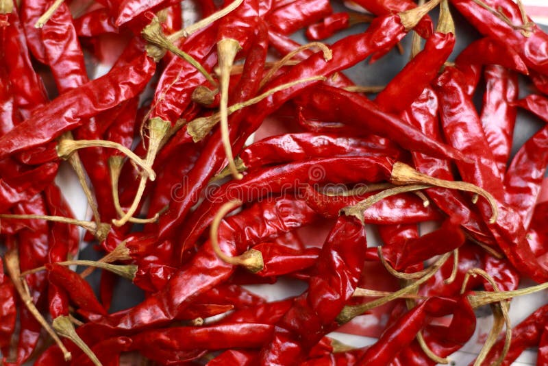 Dry red chilli stock photo. Image of epicure, paprika - 181731372