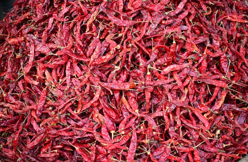 Dry Red Chilly stock image. Image of curry, fiery, garam - 42806705