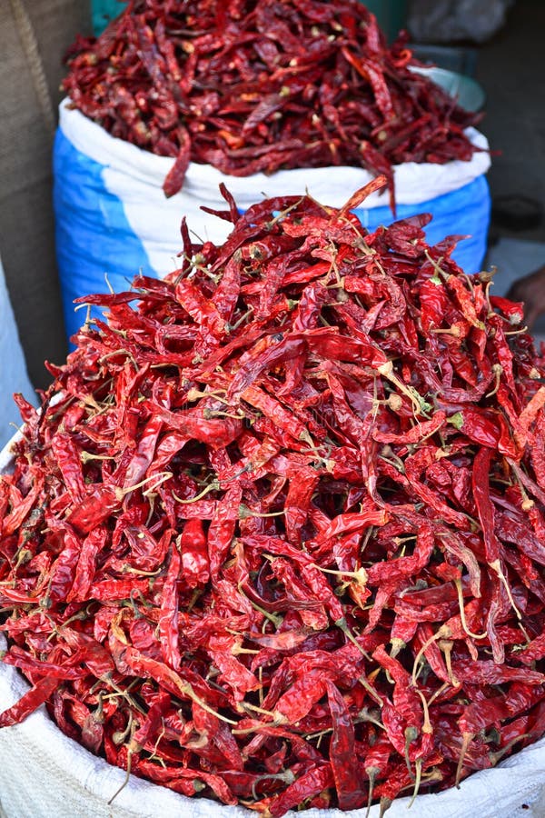Dry Red Chilly stock image. Image of chillie, chilly - 42806943