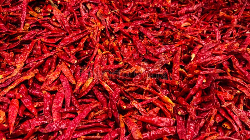 Dry Red Chilly Adding Life To Curries Stock Image - Image of color ...
