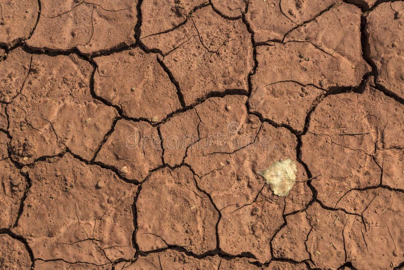 Dry Red Cracked Mud with a Single Leaf Stock Image - Image of ground ...
