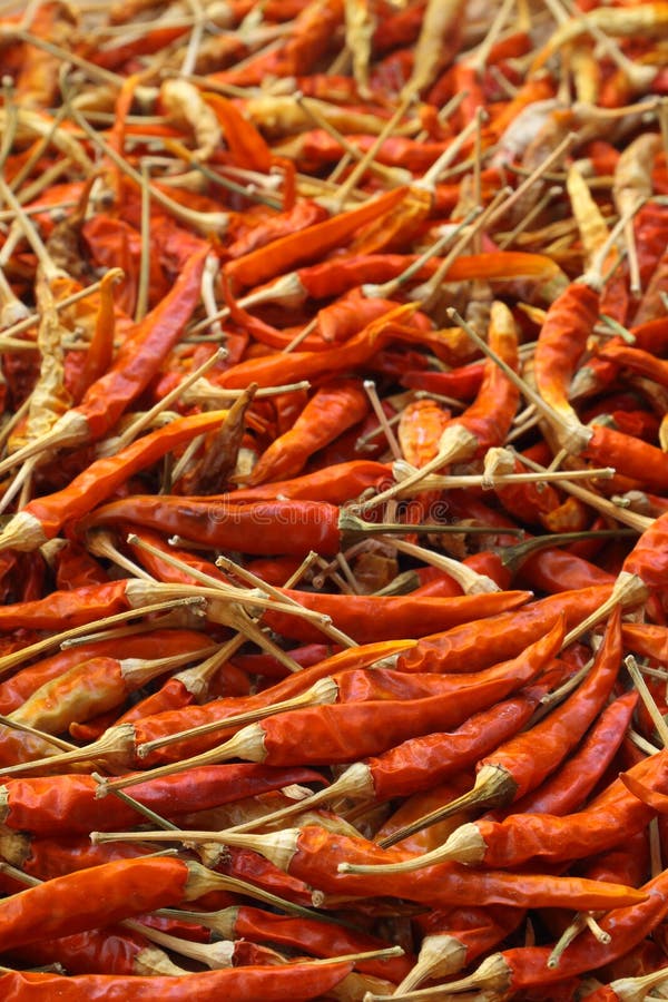 Dry red pepper stock image. Image of mexican, pepper - 24775397
