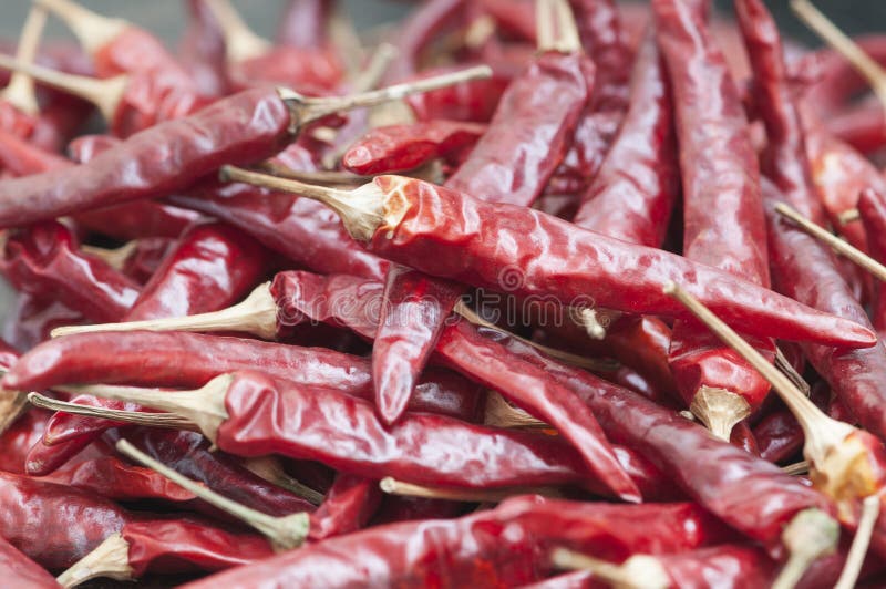 Dry red pepper stock photo. Image of color, spice, cayenne - 28283872