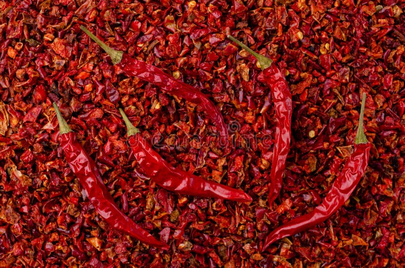 Dry red pepper stock photo. Image of indian, jalapeno - 211448616