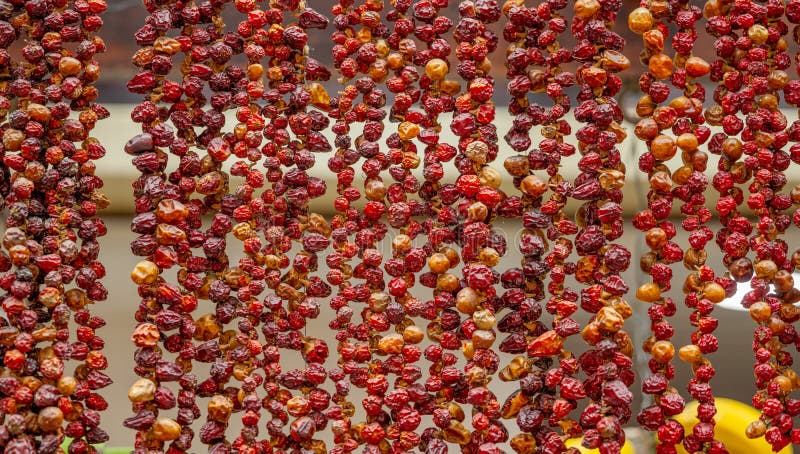 Dry red pepper on a string stock image. Image of food - 284251237