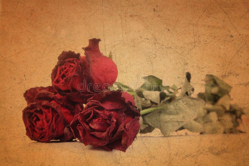 Vintage Card from Old Paper and Rose Stock Illustration - Illustration ...