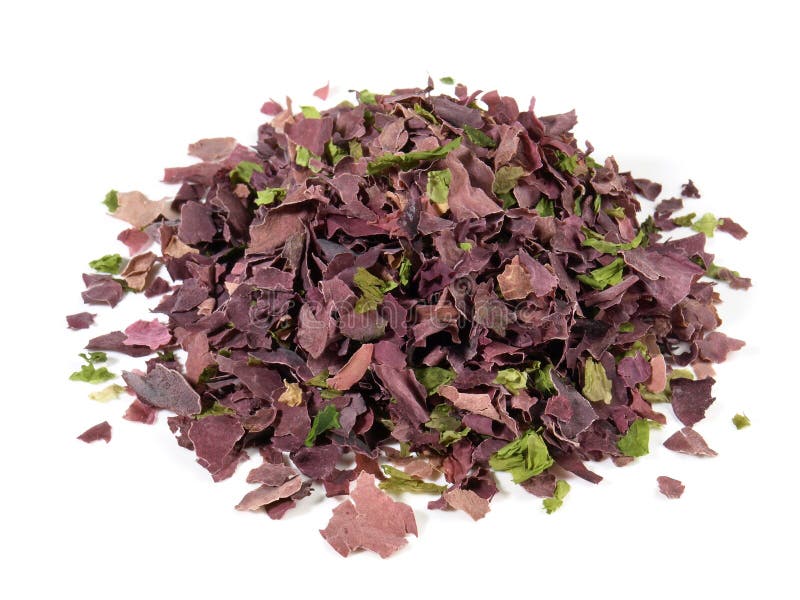 Dry Red Seaweed Isolated on White Background Stock Photo - Image of ...