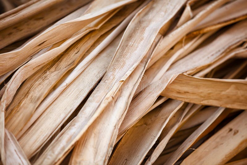 Dry Reed - the Material for the Production of Souvenirs. Stock Image ...