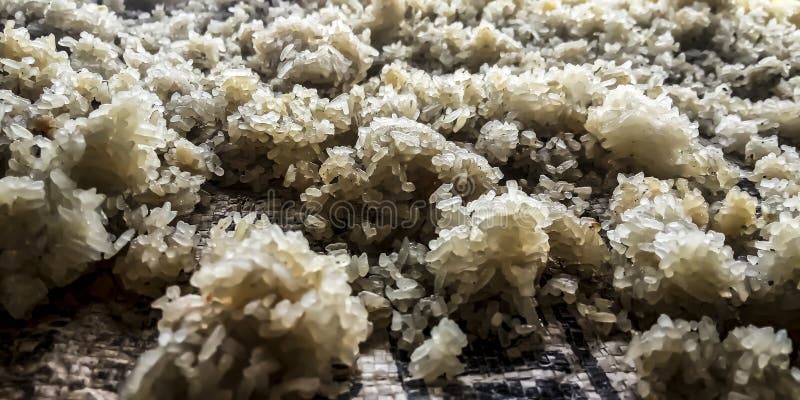 Dry rice stock image. Image of natural, long, diet, texture - 152193643