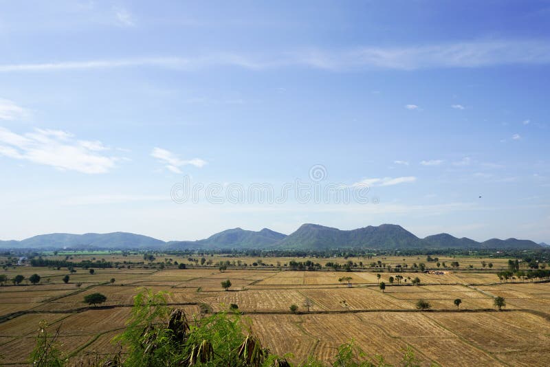 Dry rice field stock image. Image of scene, outdoor, harvest - 97070985