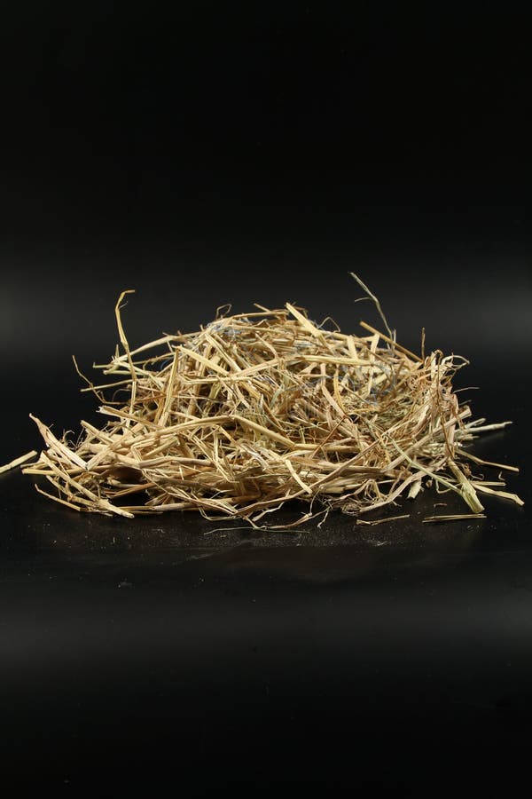 Dry Rice Straw Black Scene. Stock Image - Image of field, white: 89498917