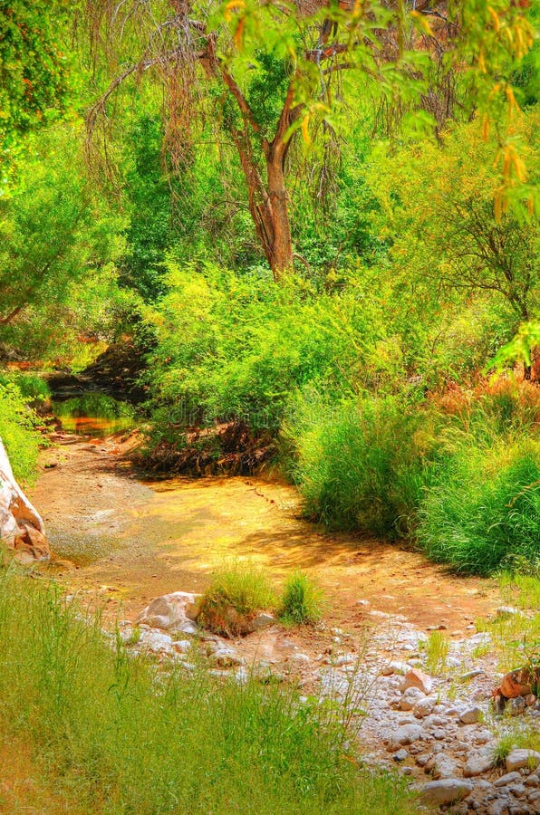 Dry River stock photo. Image of stream, nature, river - 10335702