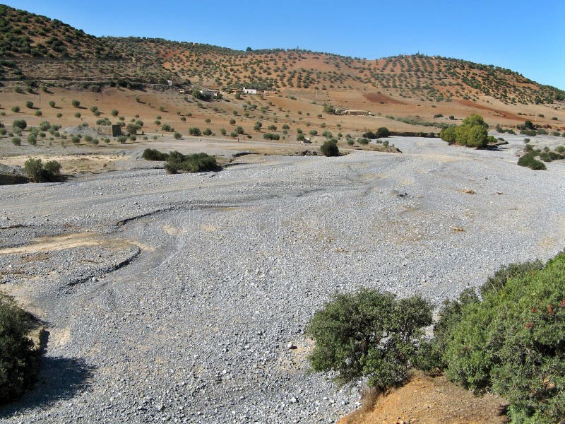Dry river stock photo. Image of olives, orchard, grey - 15633886