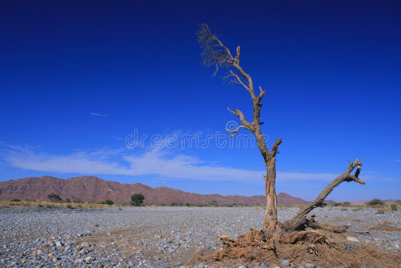 Dry river stock photo. Image of wild, rural, mountain - 9146120