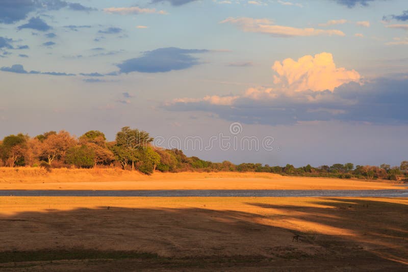 Almost Dry River in Africa in Early Morning Light Stock Photo - Image ...