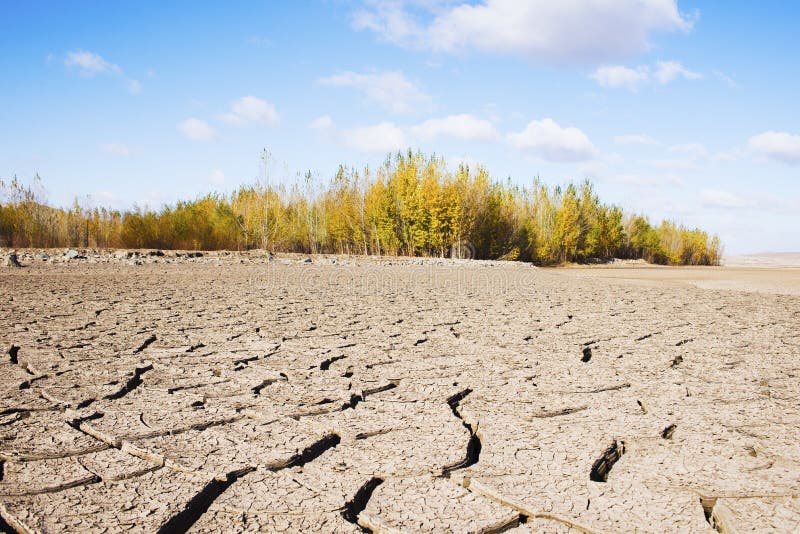 Drought Period of Rivers, and Woods Stock Image - Image of nature ...