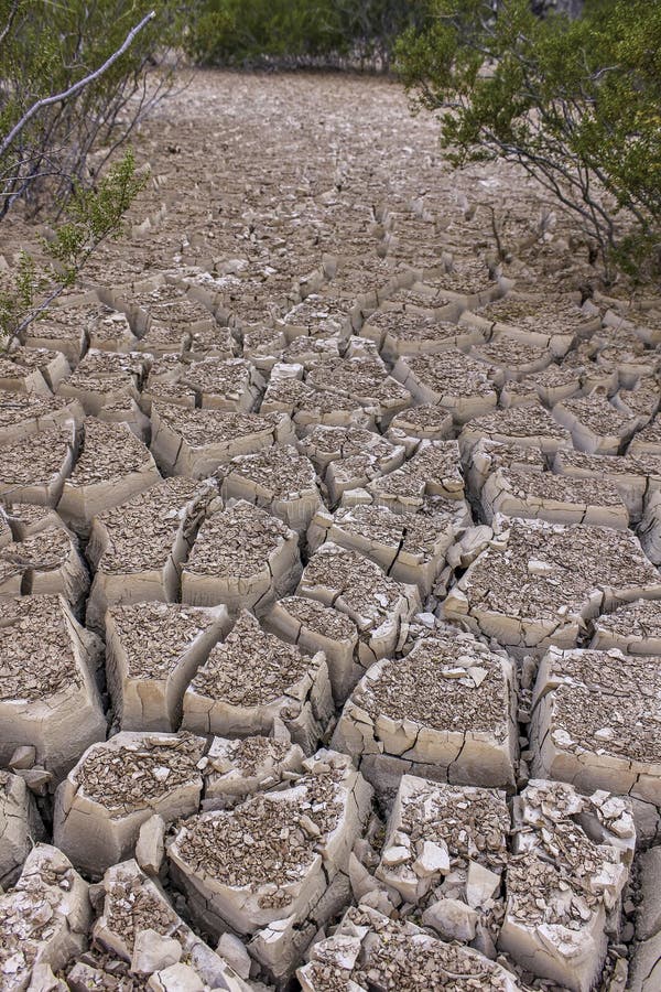 Dry River Bed stock photo. Image of cracked, water, arid - 29047924