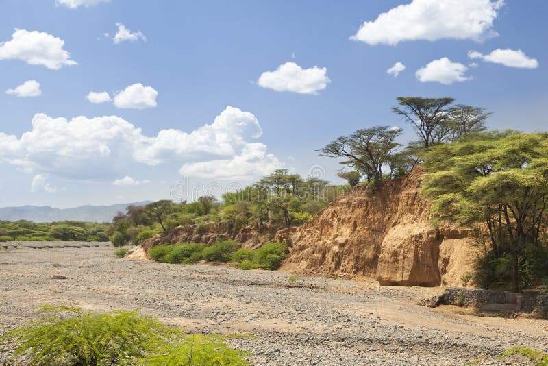 Dry river bed in Kenya stock photo. Image of landscape - 40295828
