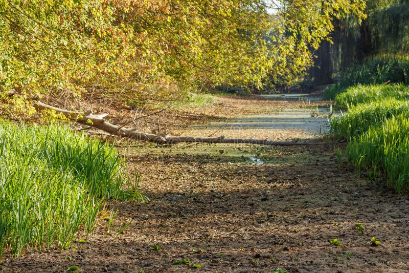 Dry River Bed, without Water. Water Bodies are Visible. a Riverbed with ...