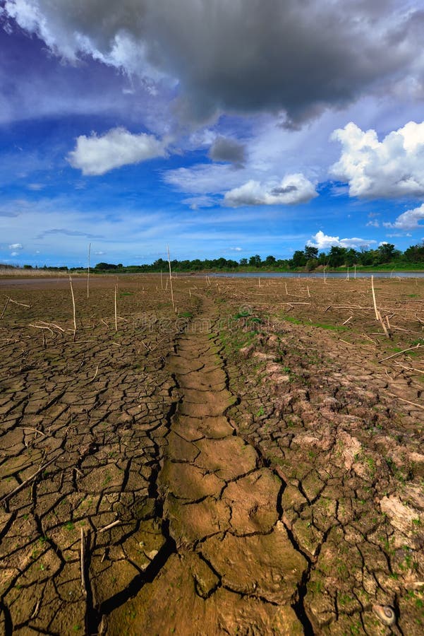 Drought parched ground. stock photo. Image of crack - 102366872